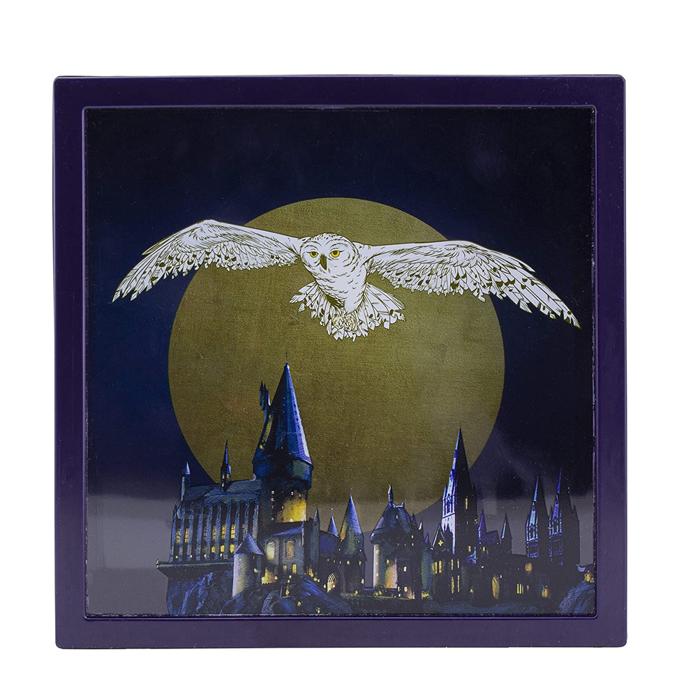 Kasica Harry Potter Hedwig | Pokloni.COM